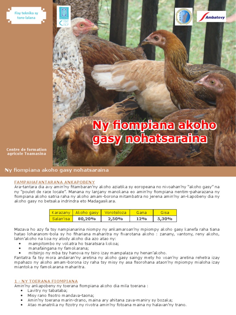1 Akoho Gasy Version - by - Ambatovy | PDF
