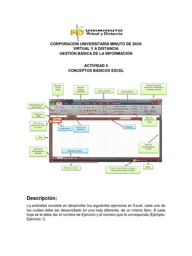 Ejercicios prácticos de Excel para conceptos básicos | PDF | Hoja de cálculo | Microsoft Excel