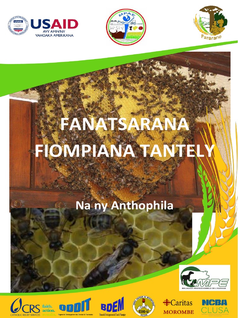 N°04- FANATSARANA NY FIOMPIANA TANTELY.pdf | PDF