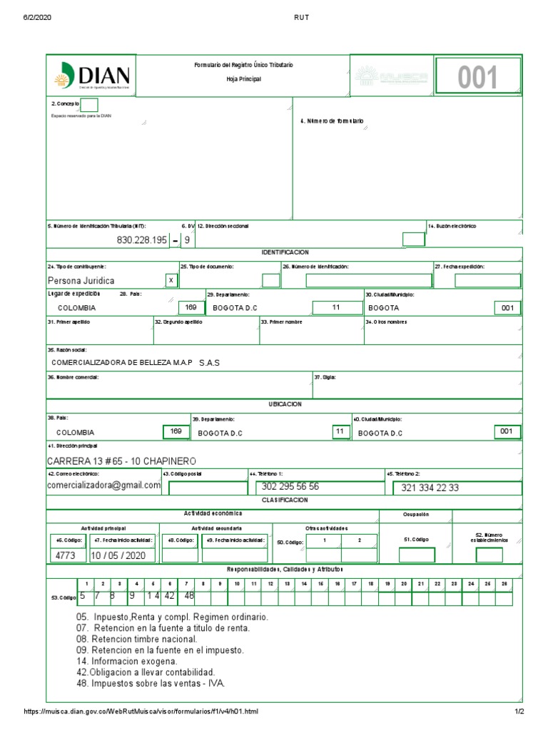 Formato RUT | PDF | Business