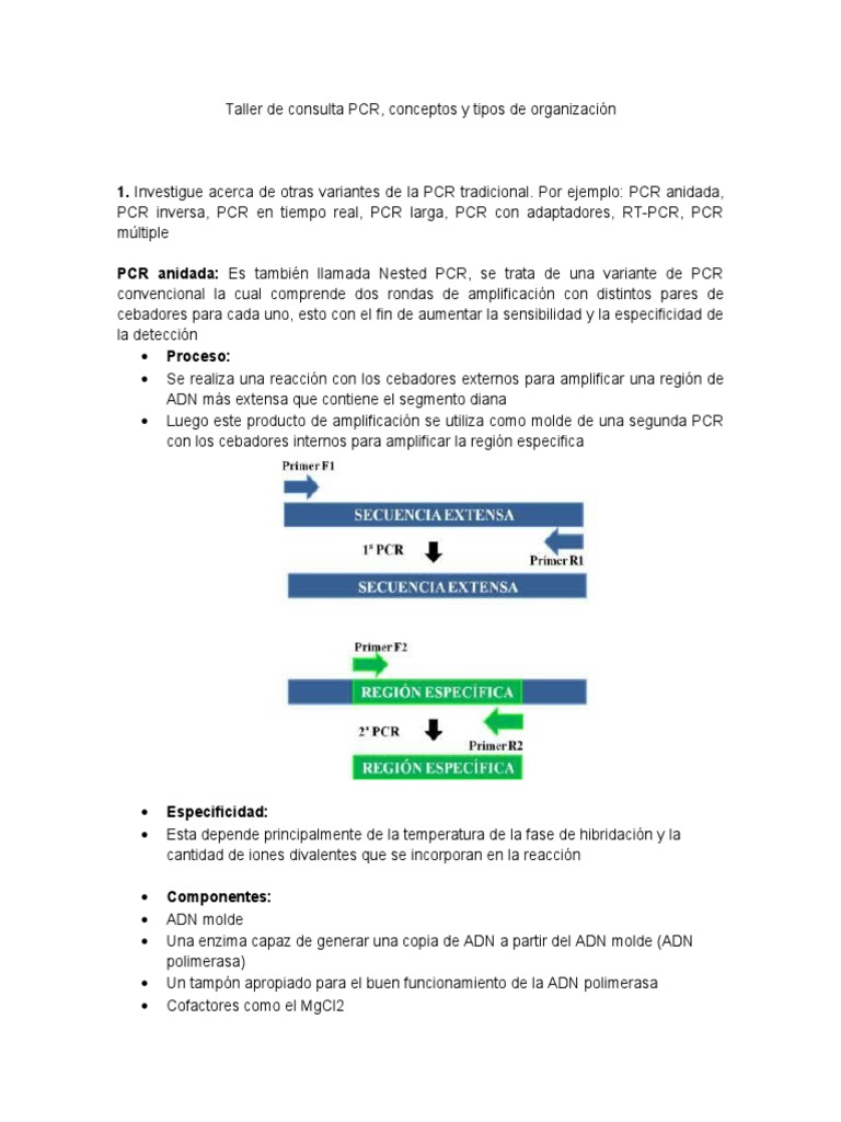 Investigue Acerca de Otras Variantes de La PCR Tradicional. Por Ejemplo ...