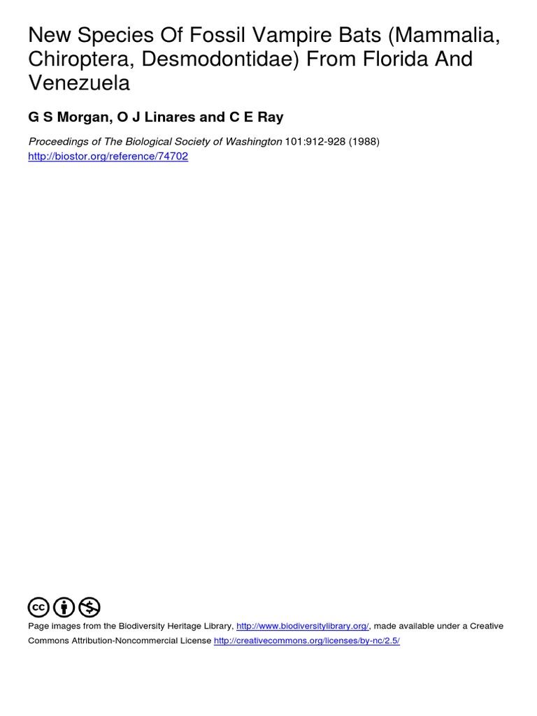 New Species of Fossil Vampire Bats (Mammalia, Chiroptera, Desmodontidae ...