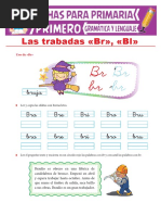 Cuadernillo BR - BL | PDF