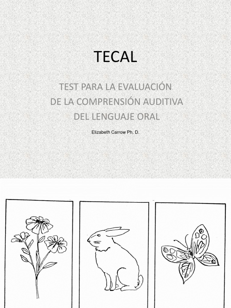 Tecal 2 PDF | PDF