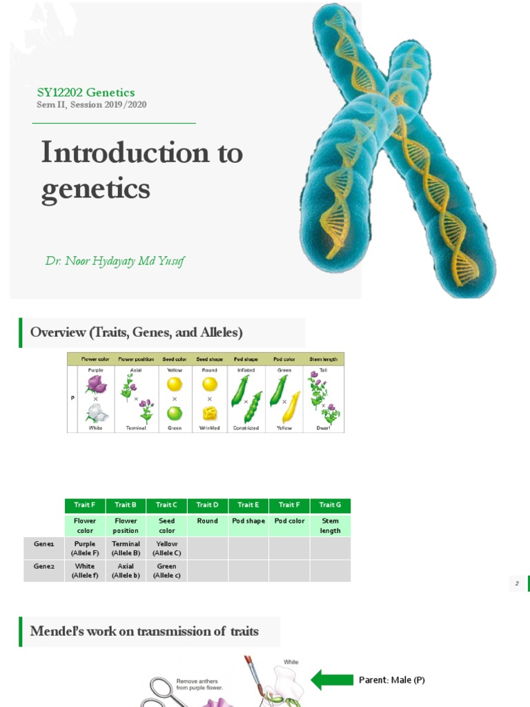 Lecture Note - Introduction To Genetics | PDF | Gene | Ploidy