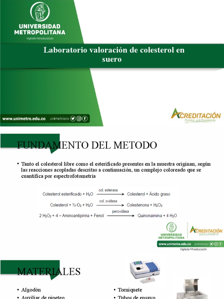 Formato Diapositivas Unimetro | PDF