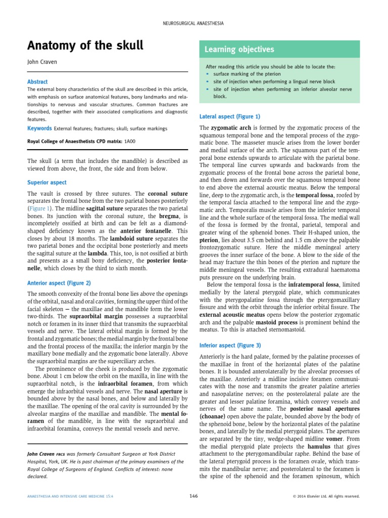 Anatomy of The Skull | PDF | Skull | Human Head And Neck