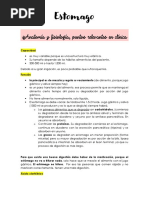 Cápsula de Glisson | PDF | Tejido adiposo | Riñón