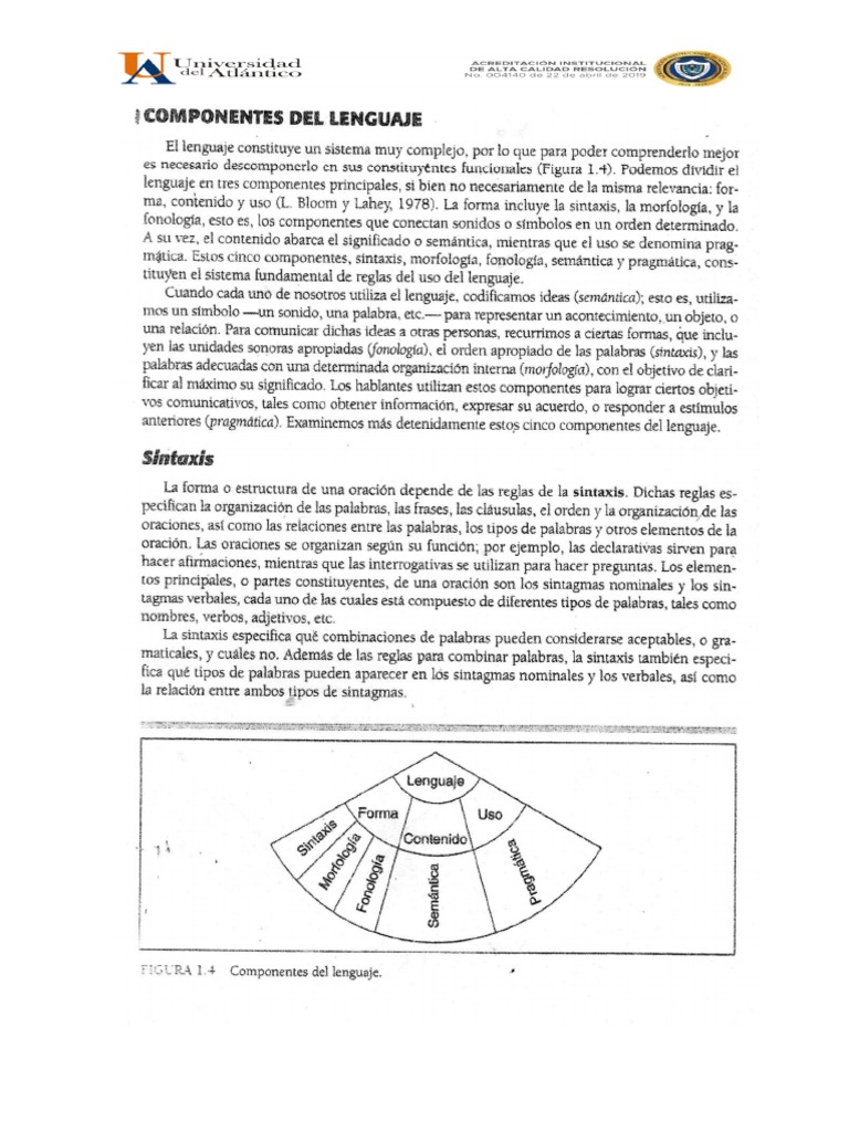 4 .COMPONENTES DEL LENGUAJE y Taller PDF | PDF
