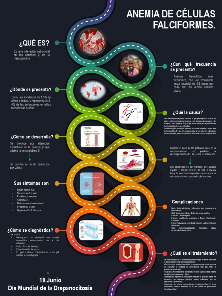 INFOGRAFIA ANEMIA Grupo PDF | PDF | Anatomía | Especialidades Medicas