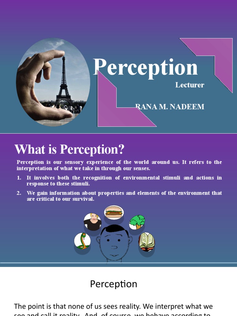 Perception: Lecturer Rana M. Nadeem | PDF | Perception | Behavior