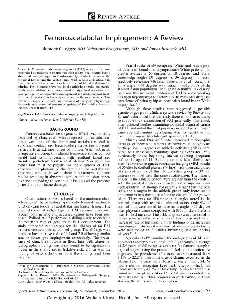 Egger 2016 PFA | PDF | Ct Scan | Hip