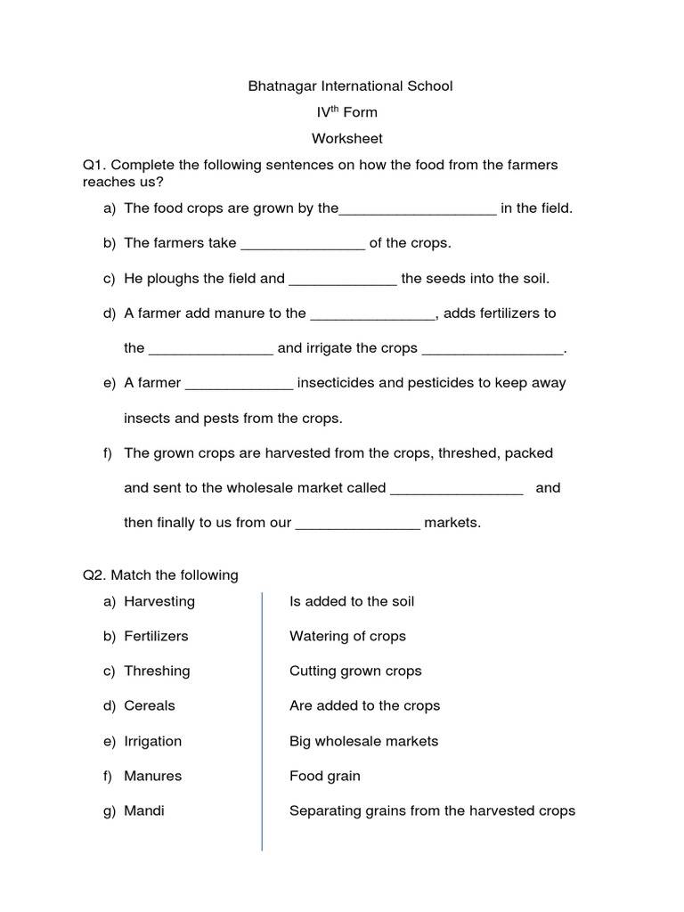 Journey of Food W Sheet PDF | PDF | Home & Garden | Technology ...