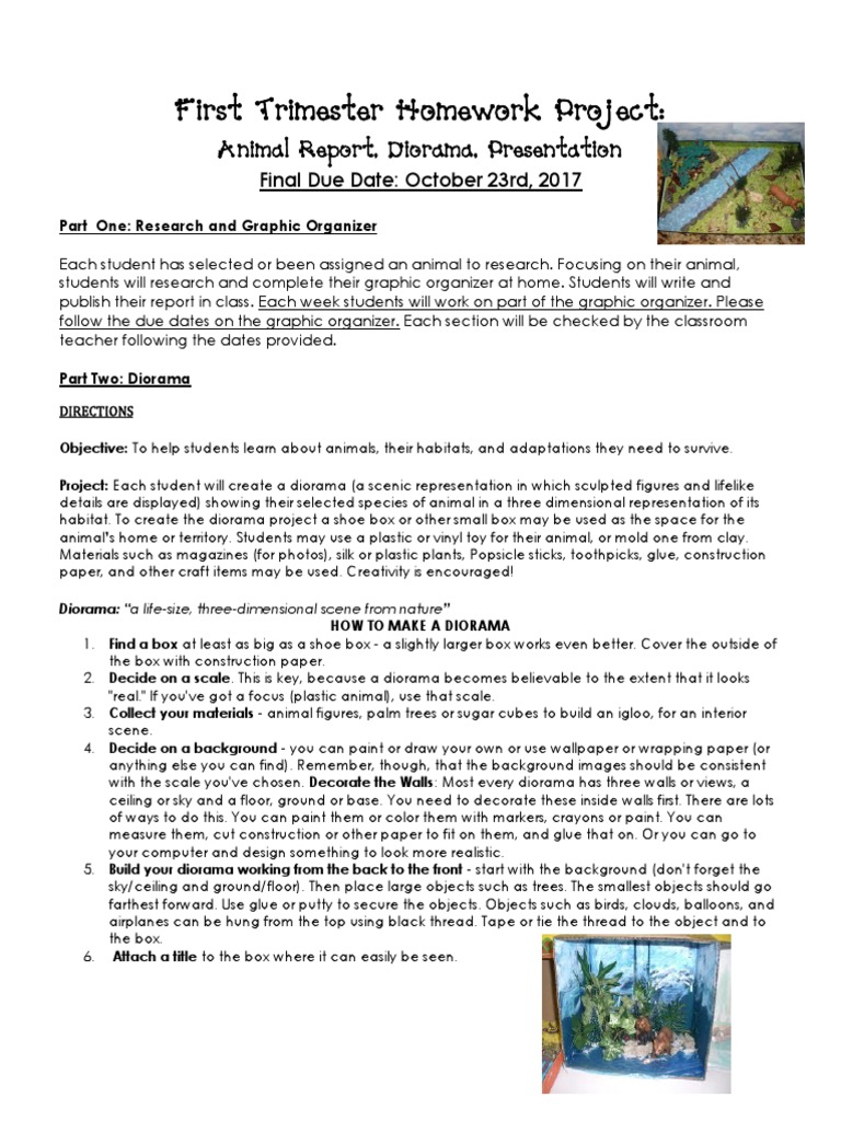 Animal Habitat Diorama Project | PDF | Knowledge | Reading Comprehension