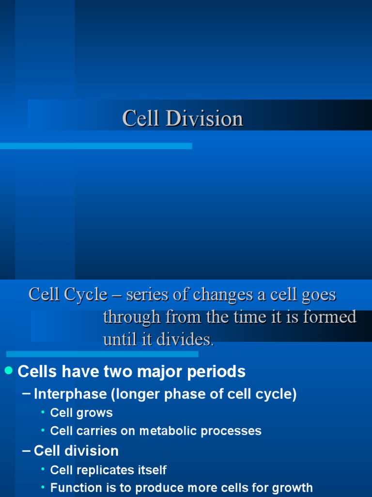 Cell Division | PDF | Mitosis | Molecular Biology