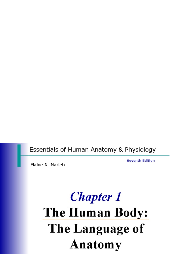 Language of Anatomy | PDF | Anatomical Terms Of Location | Anatomy