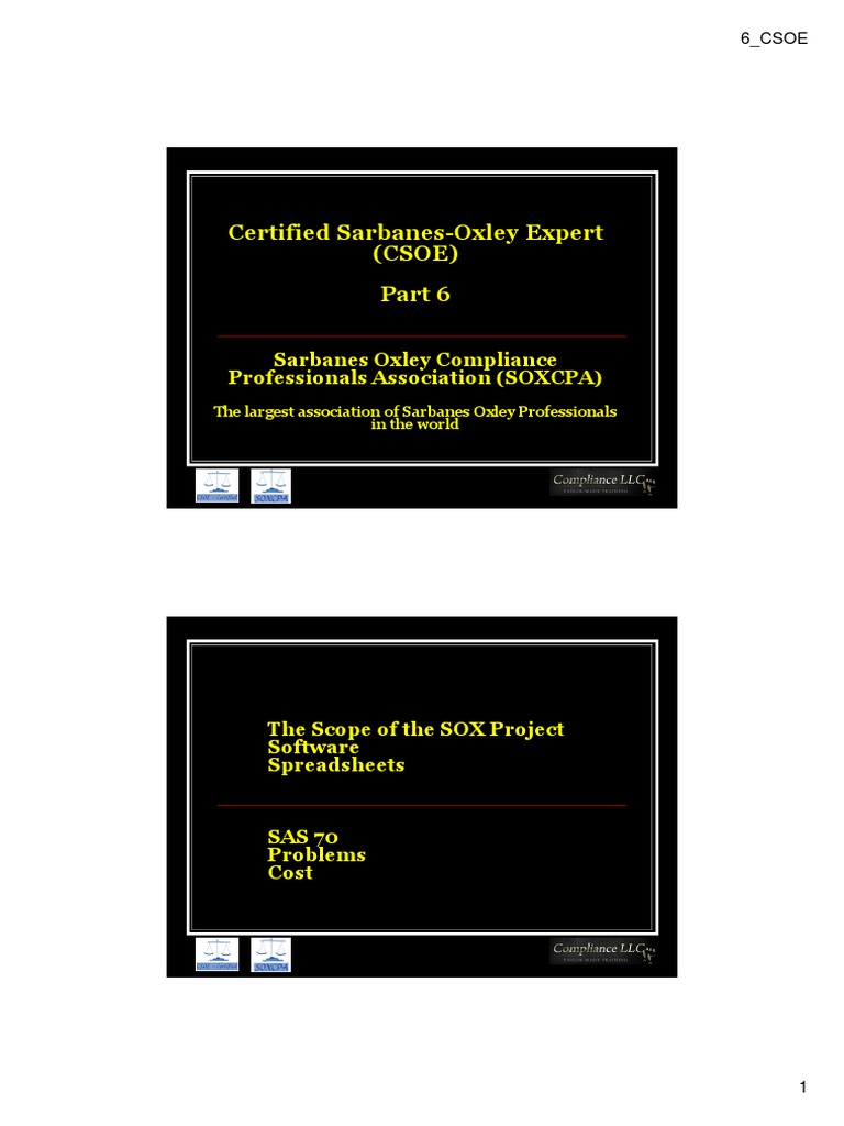 Certified Sarbanes-Oxley Expert (CSOE) | PDF | Spreadsheet | Sarbanes ...