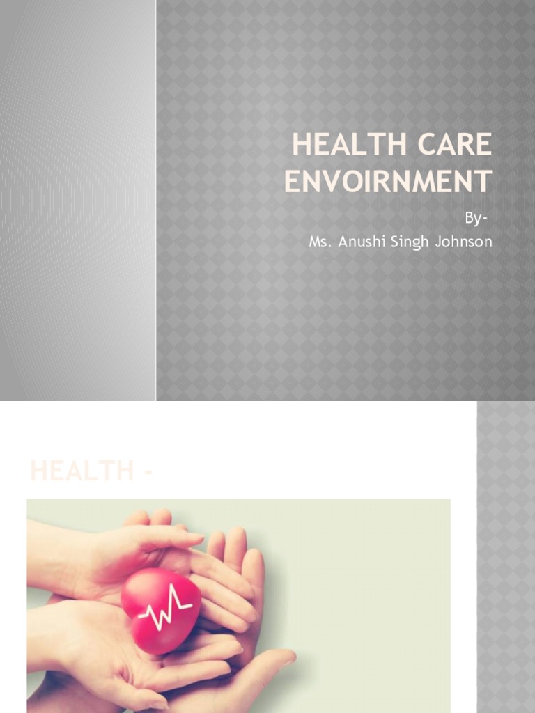 Health Care Delivery System | PDF | Nursing | Health Economics