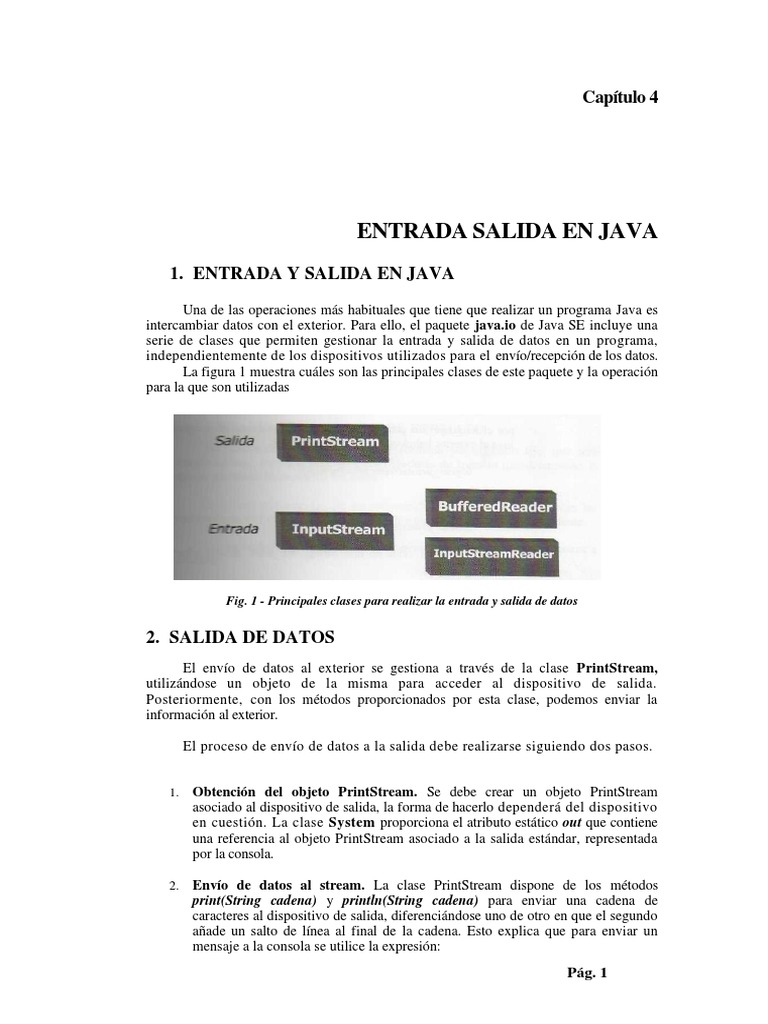Entrada Salida | PDF | Java (lenguaje de programación) | Objeto (informática)