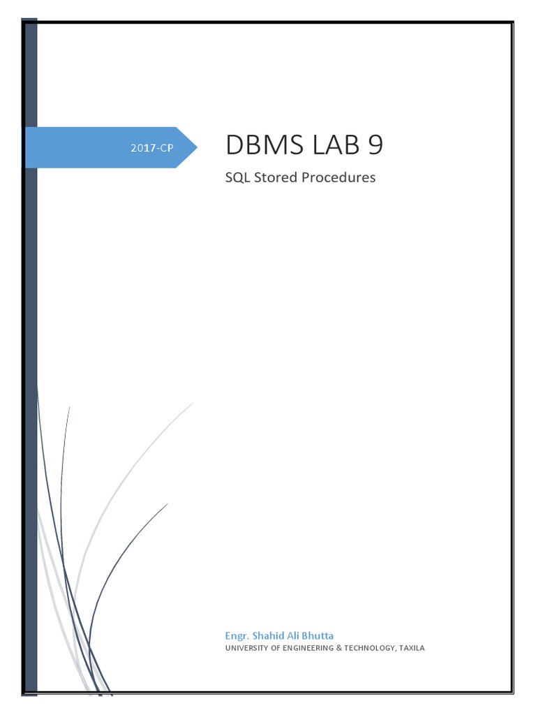 DBMS Stored Procedures Overview | PDF | Parameter (Computer Programming ...
