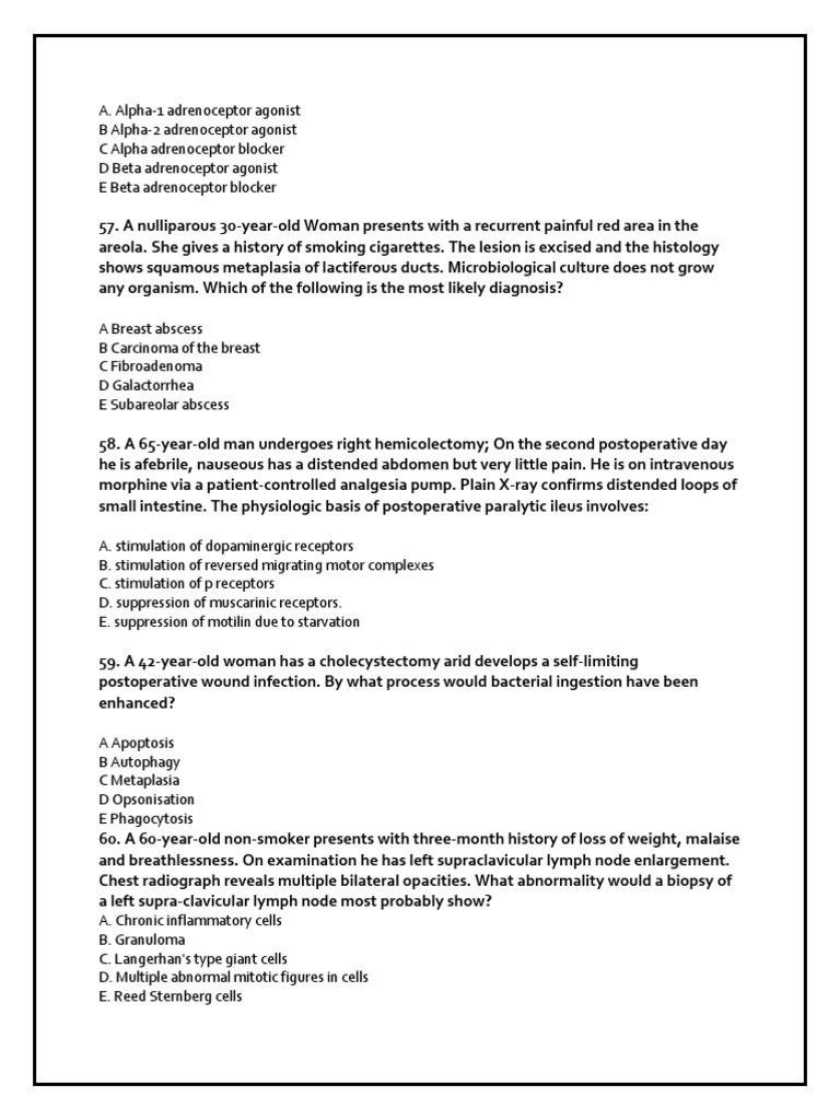 Fozia 2 - Sheet Example | PDF