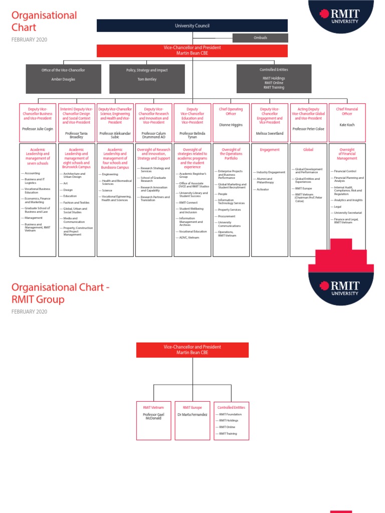 RMIT Organisational Structure Overview | PDF | Economies | Business
