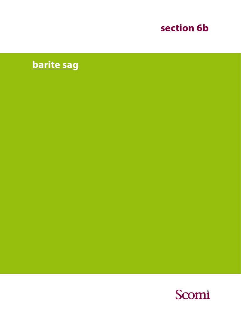 Section 6B Barite Sag | PDF | Rheology | Fluid Dynamics