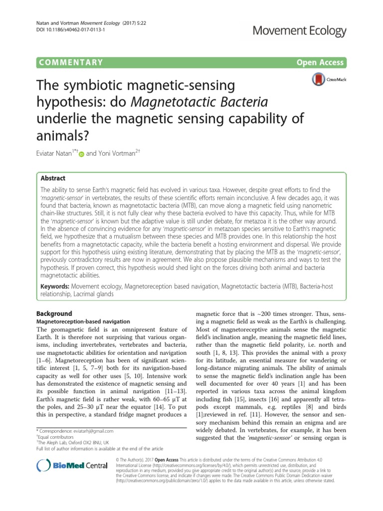 Natan-Vortman - The Symbiotic Magnetic-Sensing Hypothesis - Do ...