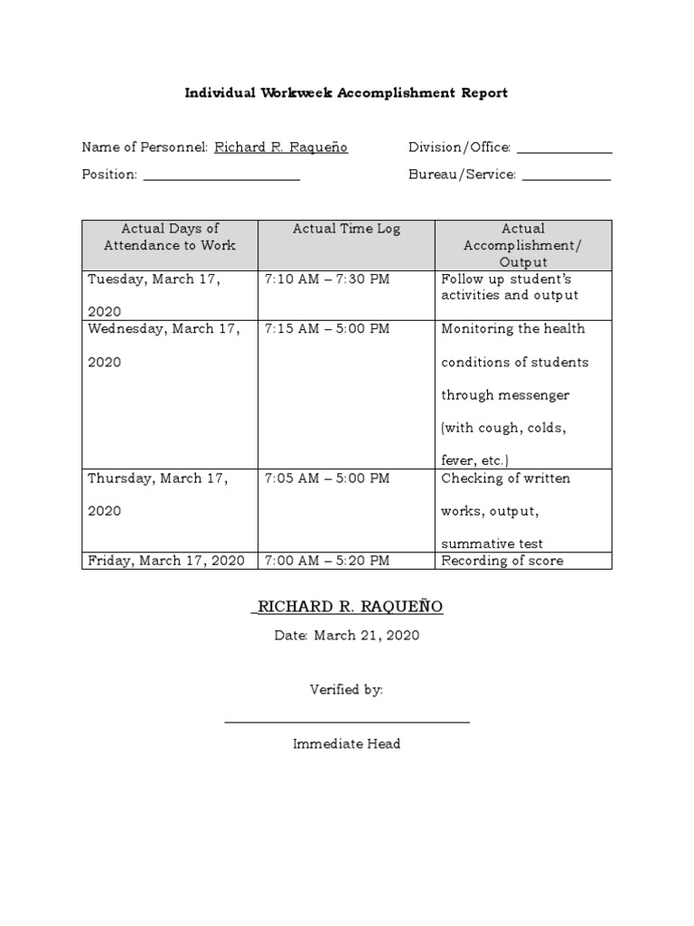Individual Workweek Accomplishment Report | PDF