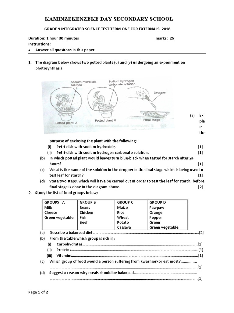 Grade 9 Integrated Science Test Term One For Externals - 2018 | PDF ...