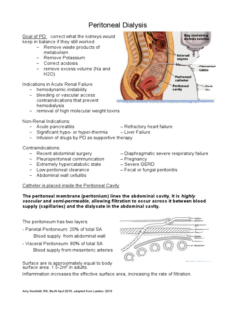 PD Handout | PDF | Dialysis | Peritoneum