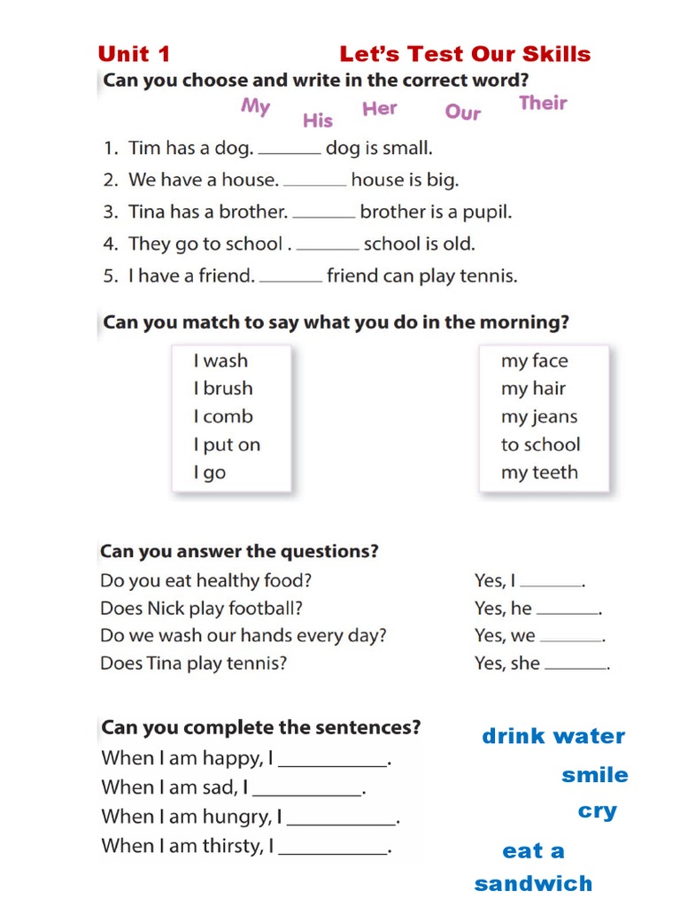Skills Testing Activities Guide | PDF