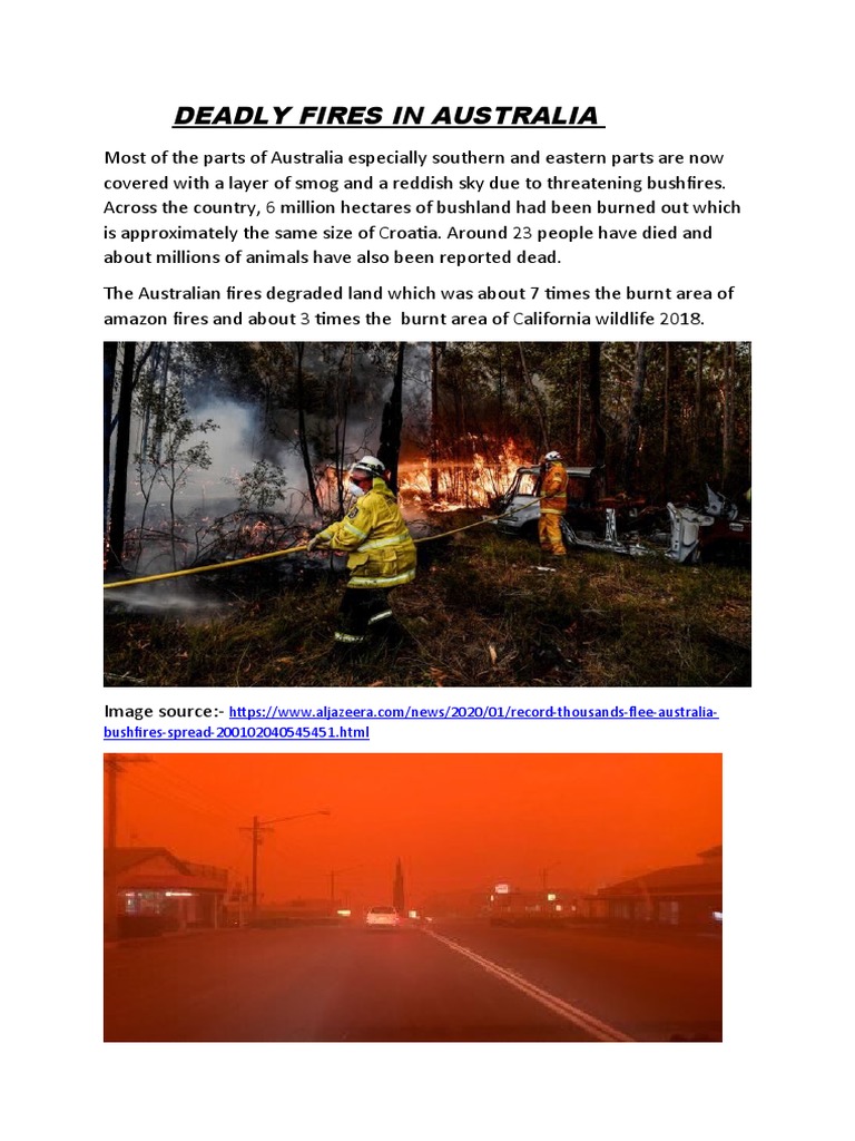Australia Bushfires: Causes and Impacts | PDF | Natural Environment ...