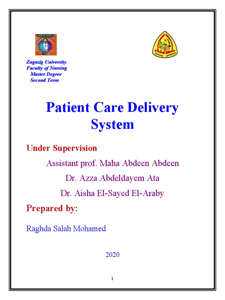 Patient Care Delivery System | PDF | Nursing | Health Care