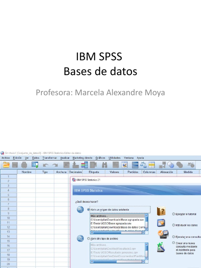 Introducción Al SPSS | PDF | Crecimiento personal y profesional | Informática