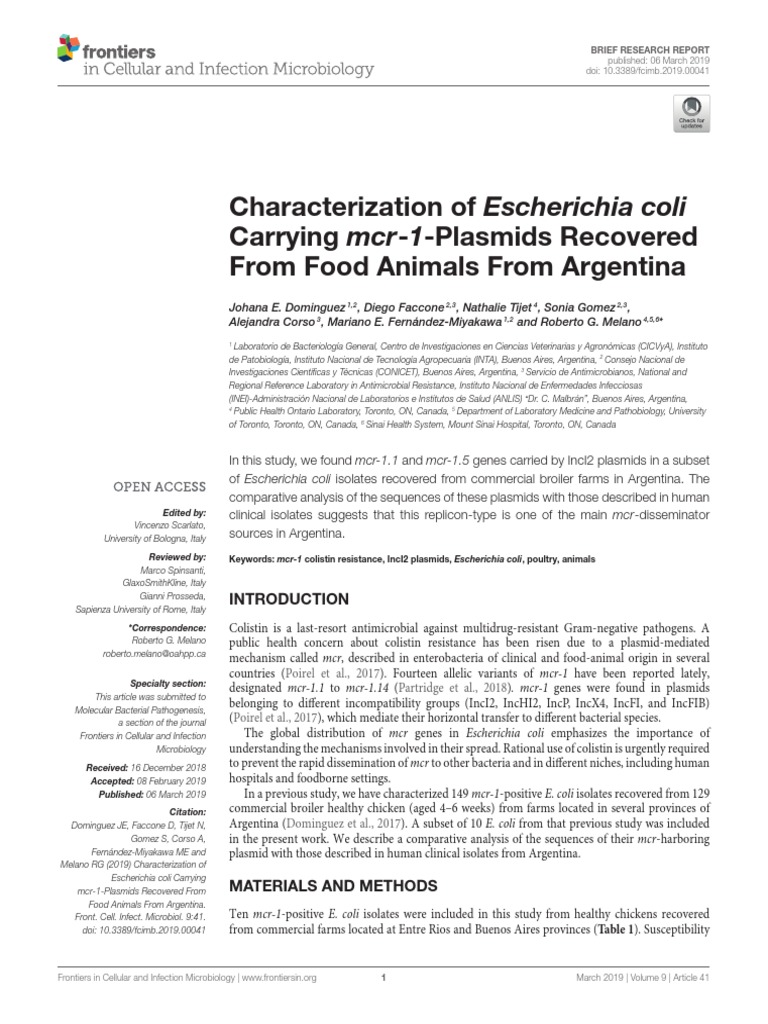 Characterization of Escherichia Coli | PDF | Plasmid | Escherichia Coli