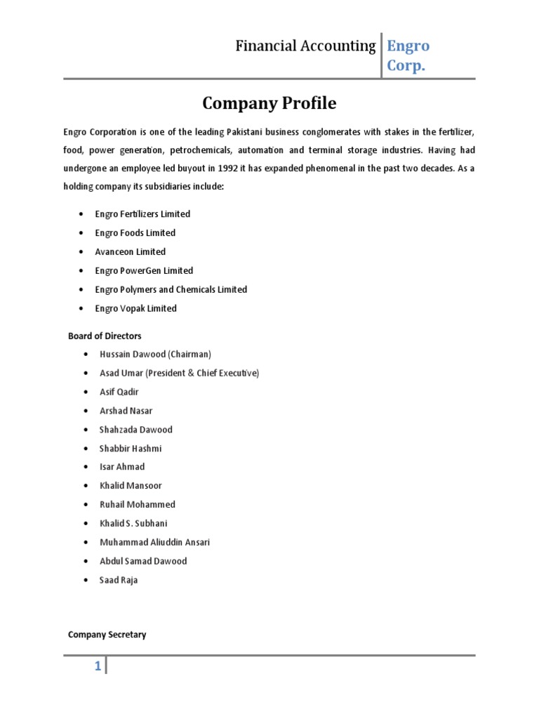 Company Profile: Financial Accounting | PDF | Financial Accounting ...