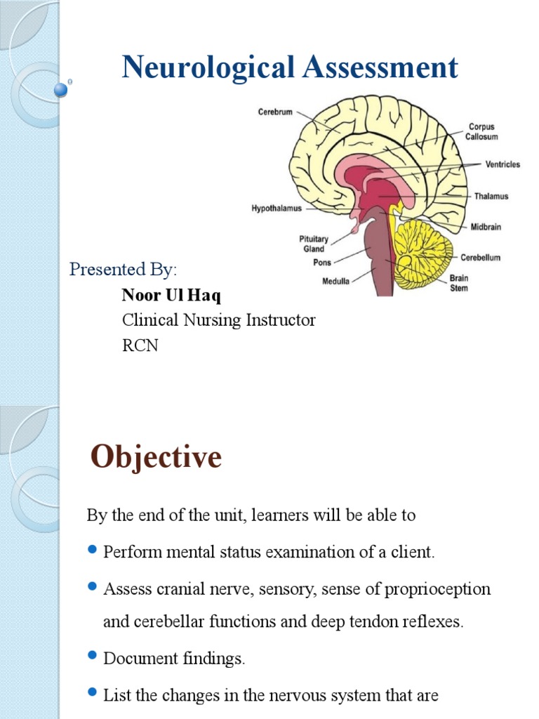 Neurological Assessment Techniques Guide | PDF | Autonomic Nervous ...