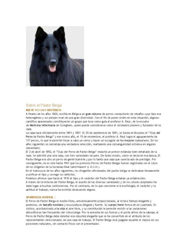 Rasas de Perros | PDF | Razas | Razas de mamíferos
