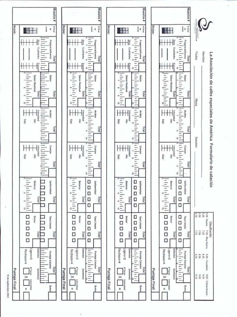 Ficha Scaa Cata | PDF