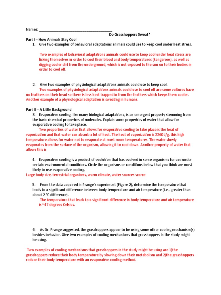 My Copy Do Grasshoppers Sweat | PDF | Evaporation | Thermoregulation