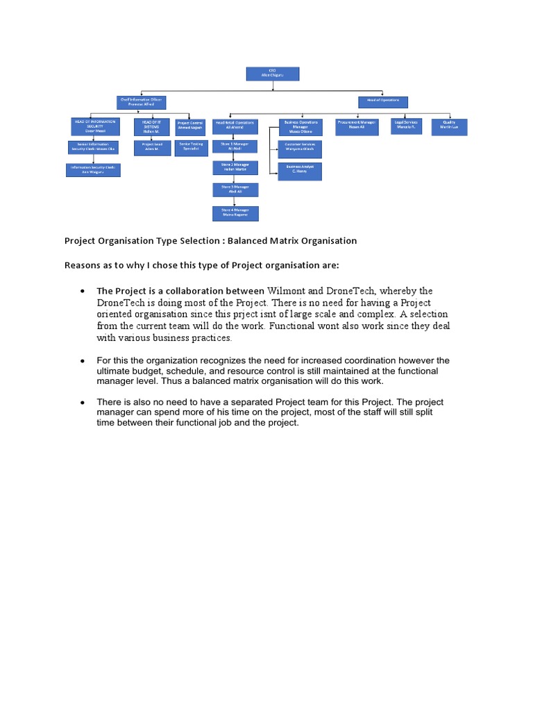 Wilmont's Pharmacy Organization Chart. | PDF