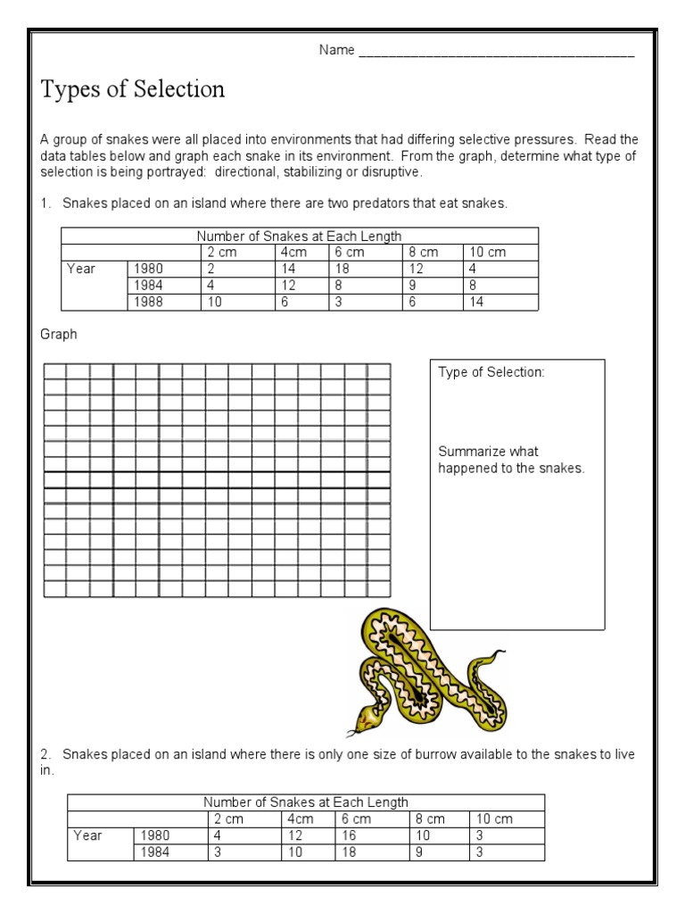 Evolution Selection Graphing | PDF | Snake | Nature