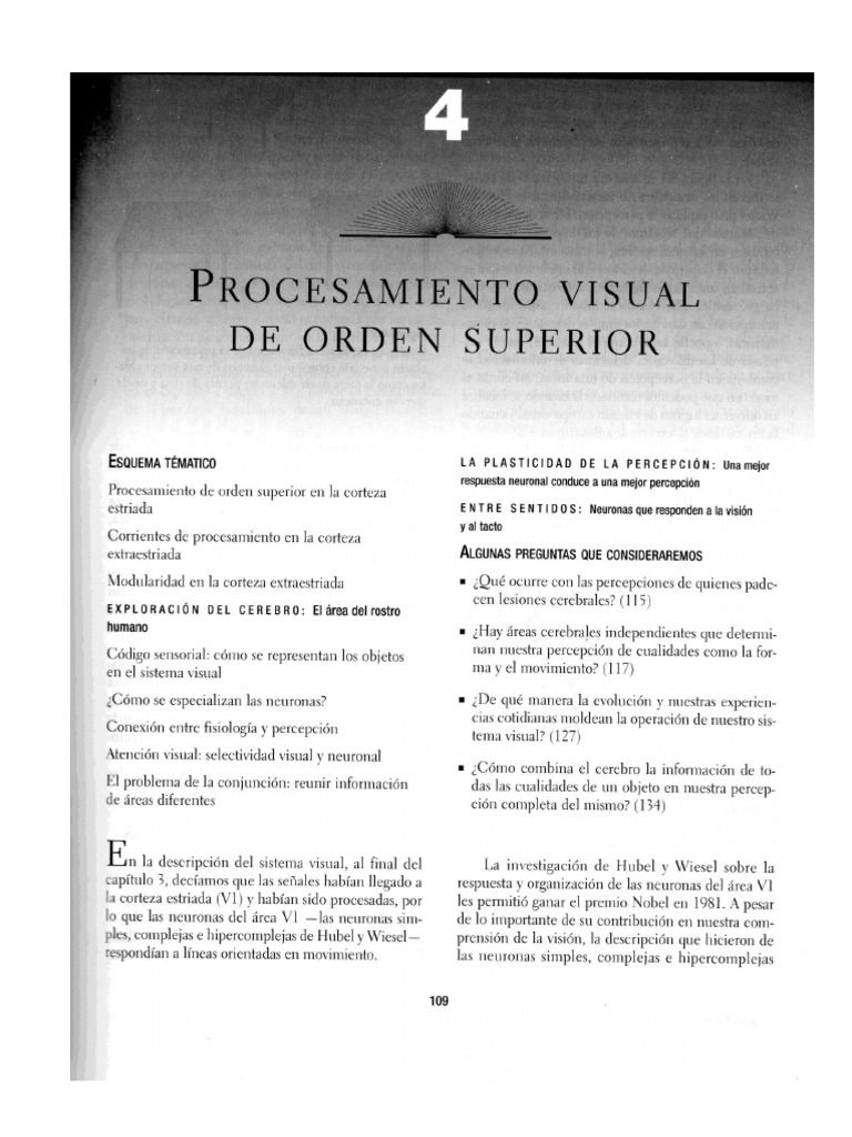 Capitulo 4 Procesamieno Visual de Orden Superior | PDF