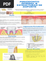 Anatomía de La Arcada Superior e Inferior de Un Paciente Edéntulo | PDF ...