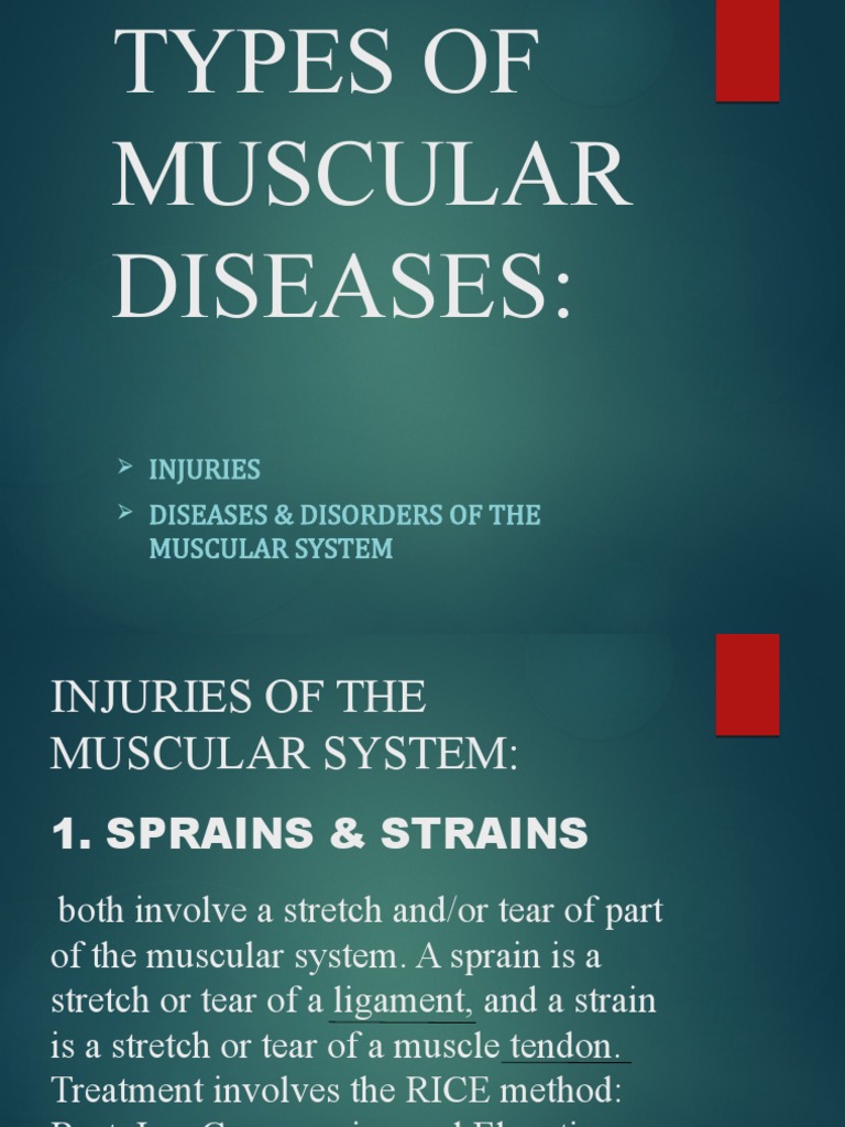Injuries Diseases & Disorders of The Muscular System | PDF ...