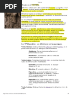 LITOSOLES | PDF | Suelo | Roca (geología)