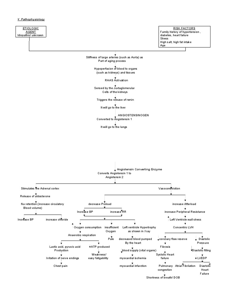 Final patho-HCVD | PDF | Angiotensin | Heart
