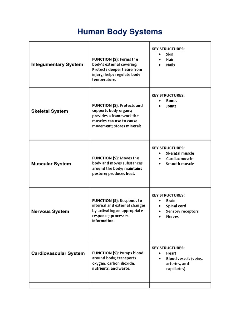 Human System-1 PDF | PDF | Human Body | Animal Anatomy