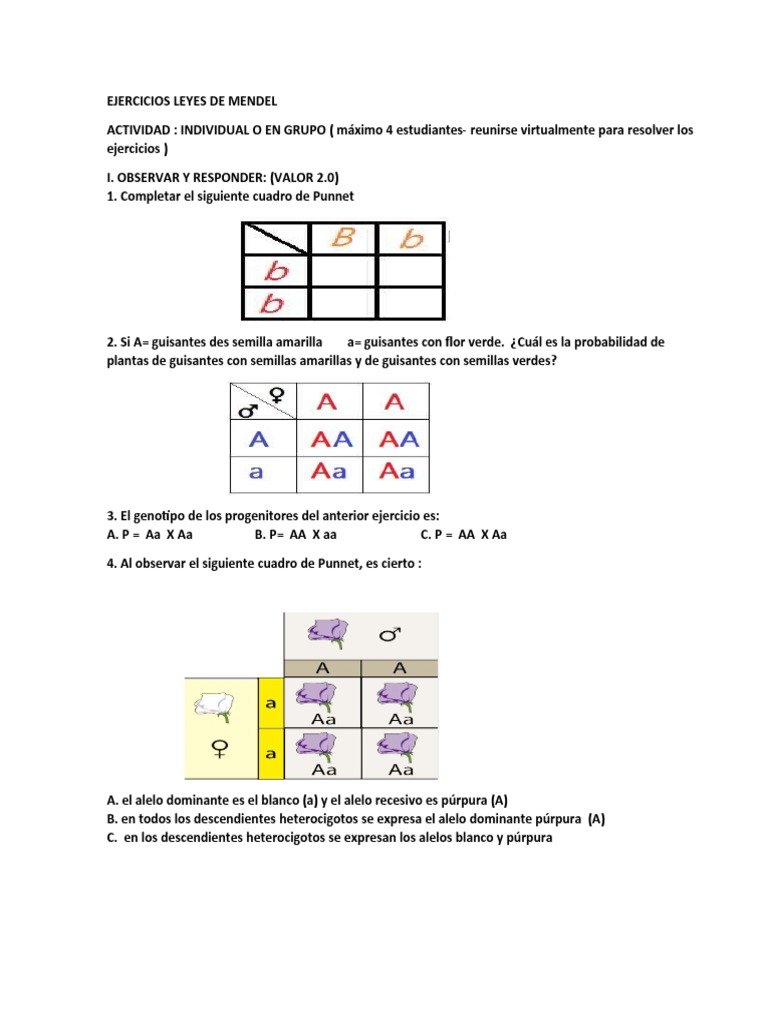 Ejercicios Leyes de Mendel | PDF | Dominancia (Genética) | Genética Ejercicios Leyes de Mendel | PDF | Dominancia (Genética) | Genética